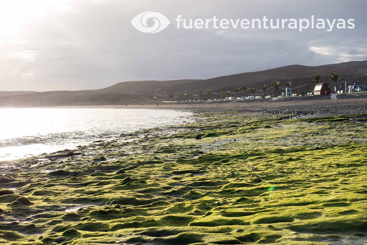 Playa Tarajalejo - FuerteventuraPlayas