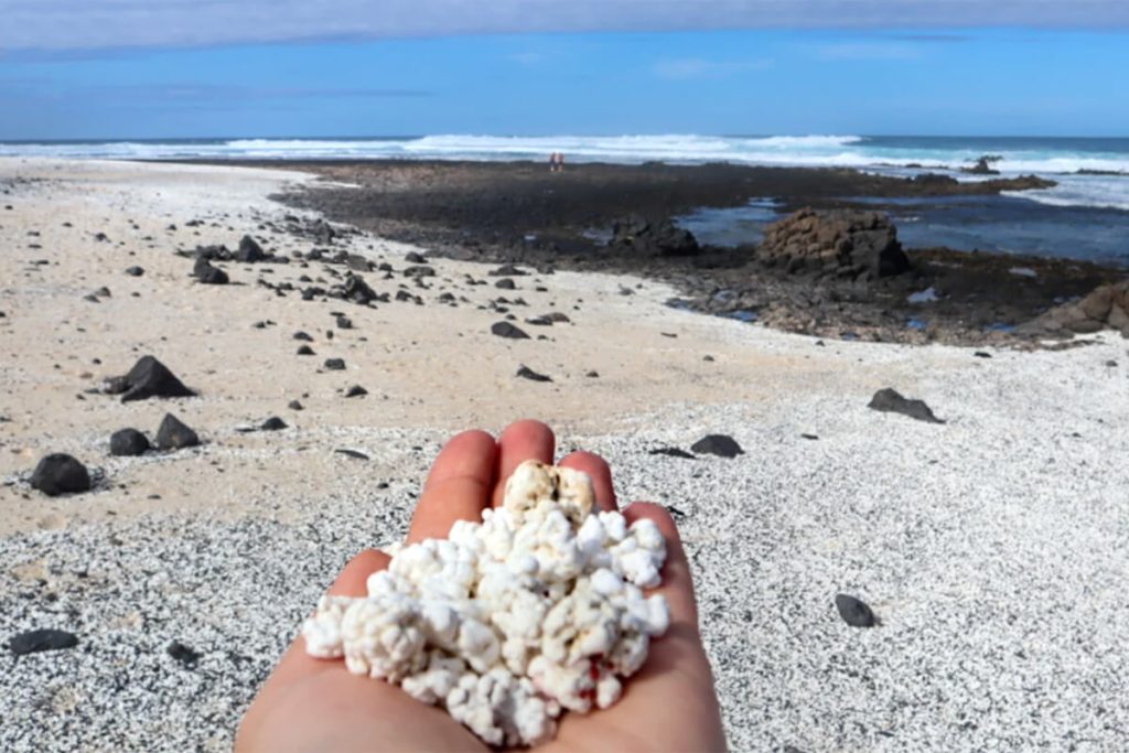 El Mejillón - Popcorn Strand - FuerteventuraPlayas